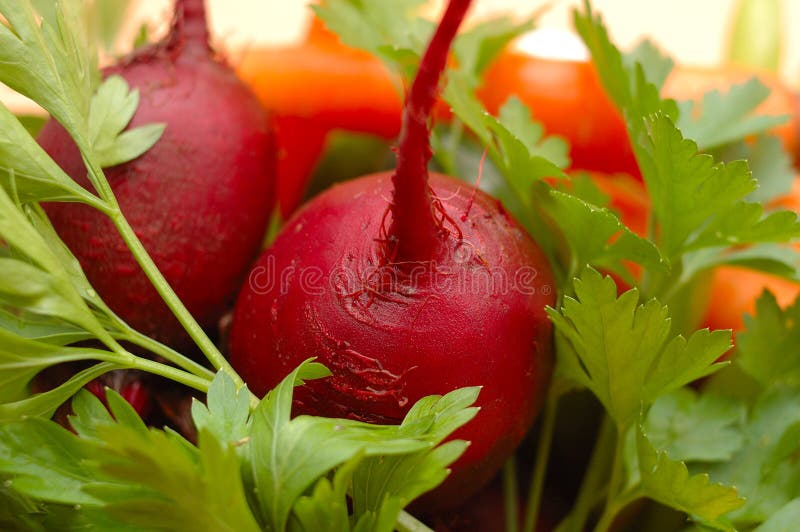 Set of Many Different Vegetables. Stock Image - Image of vegetable ...
