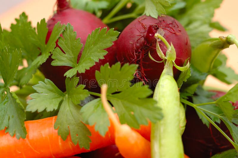 Set of Many Different Vegetables. Stock Photo - Image of collection ...