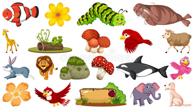 Set of Many Kinds of Animals Stock Vector - Illustration of lamb ...