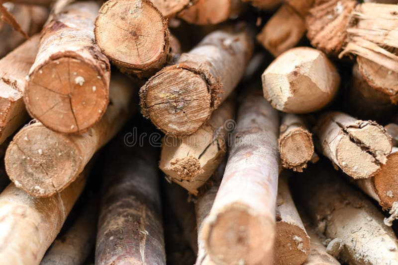 Set of many log woods stock photo. Image of circle, nature - 143118040