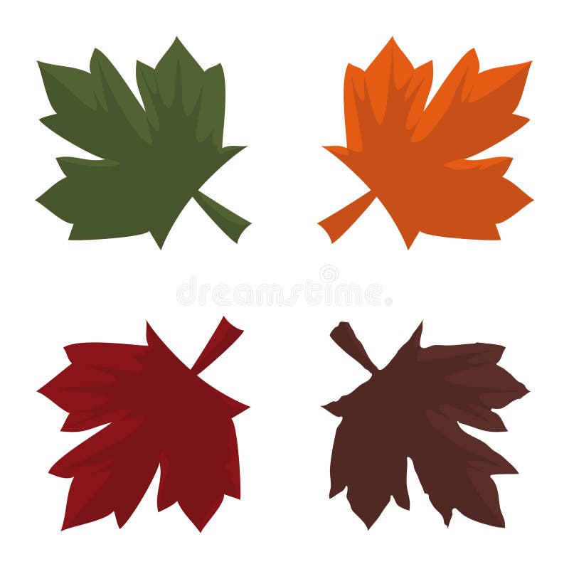 Set of Maple Leaves in Different Colors, Vector Illustration Stock ...