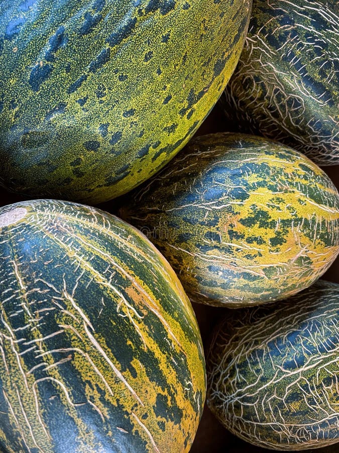 Set of Melons in Box. Healthy Food Concept Stock Image - Image of ...
