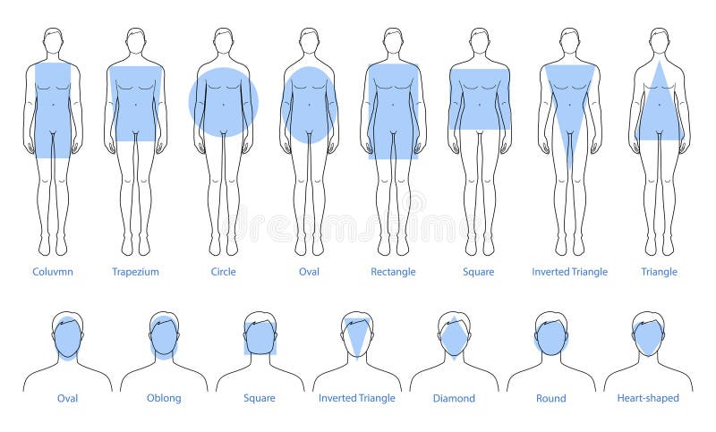 Set of Men Face and Body Shape Types - Oblong, Square, Inverted ...