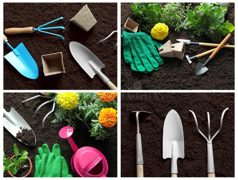 Set with Modern Gardening Tools Stock Image - Image of flora, collage ...