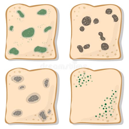 Bread Mold Stock Illustrations – 1,891 Bread Mold Stock Illustrations ...