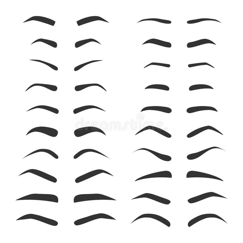 Set of Different Types of Female Eyebrows with Names Stock Vector ...