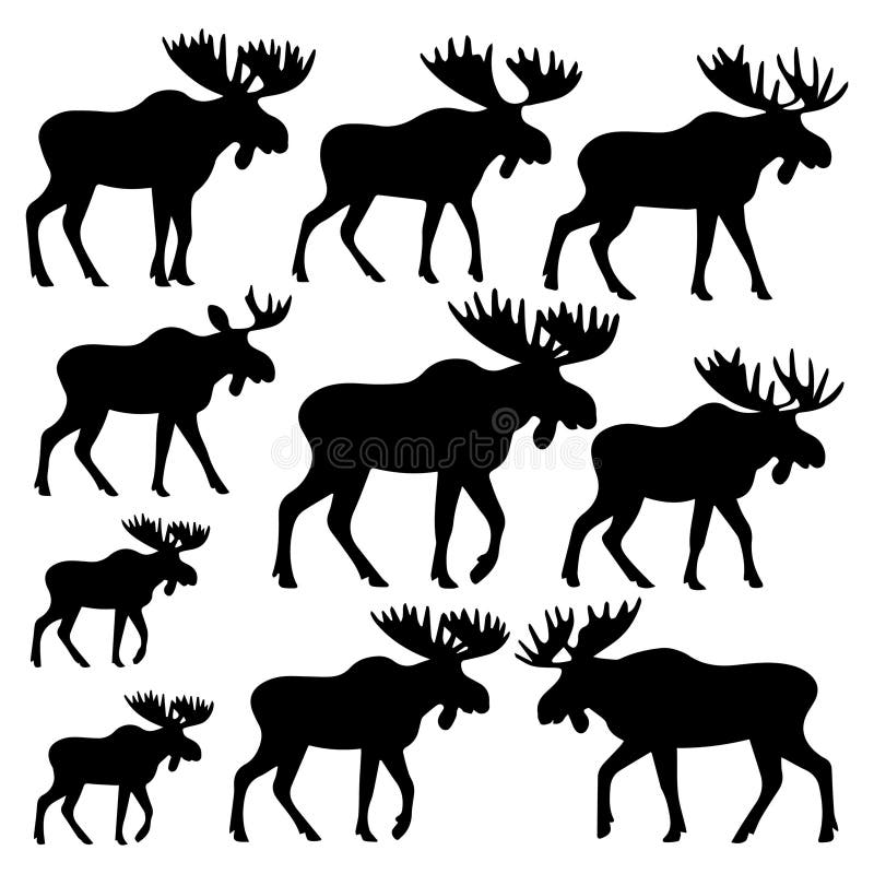 Set of Moose Silhouette Vector Design on a White Background Stock ...