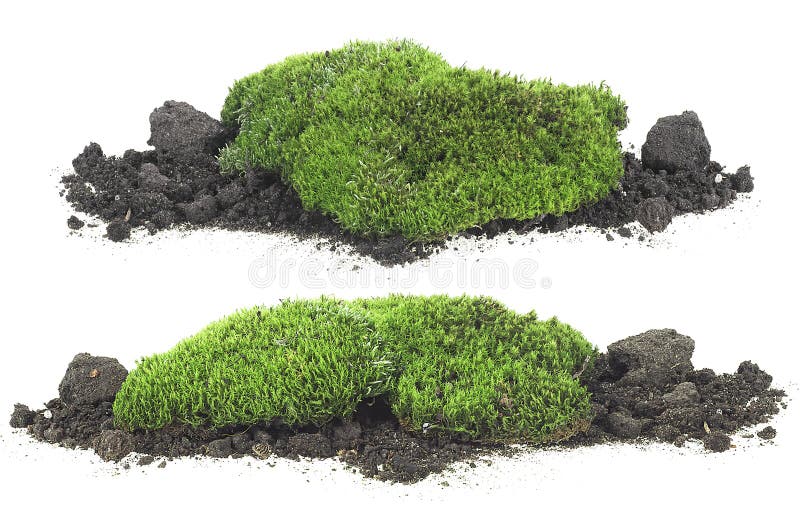 747 Mossy Mound Stock Photos - Free & Royalty-Free Stock Photos from ...