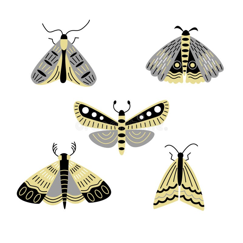 Set of moths stock vector. Illustration of magic, graphic - 258434104