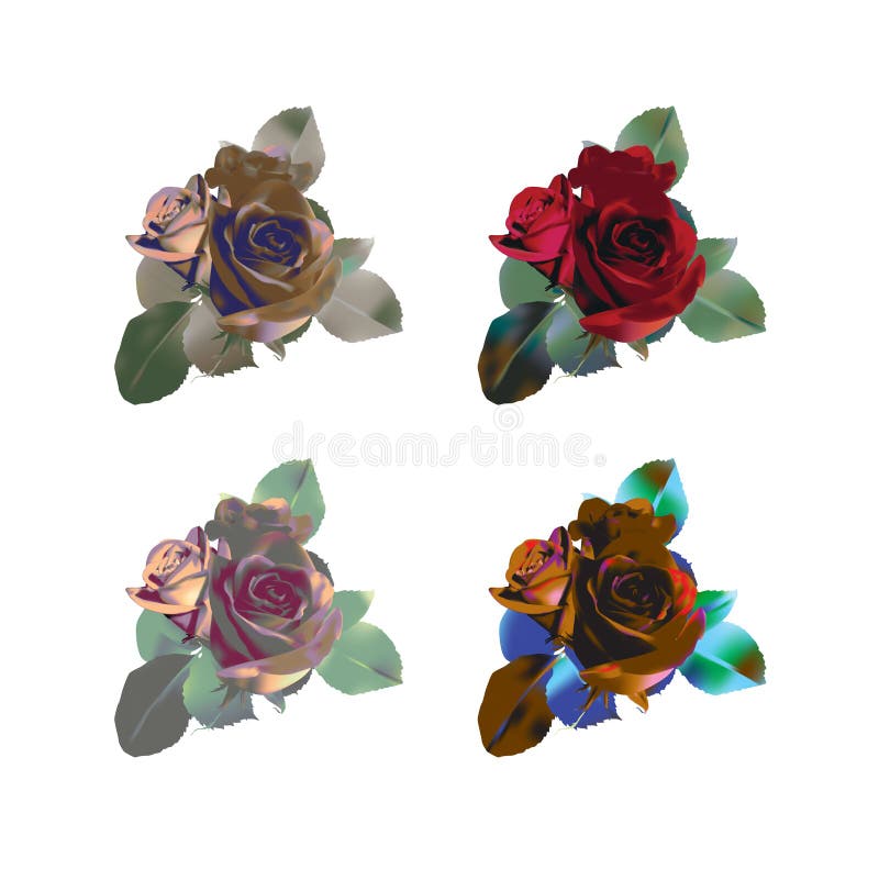 Set of Multi-colored Roses with Three Flowers Stock Vector ...