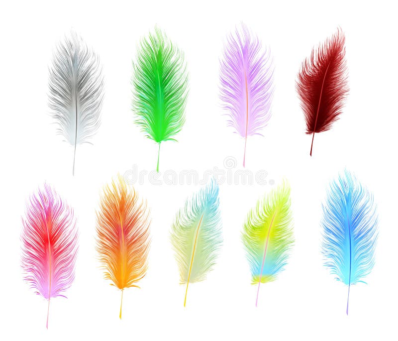 Set of Multi-colored Vector Feathers Isolated Stock Vector ...