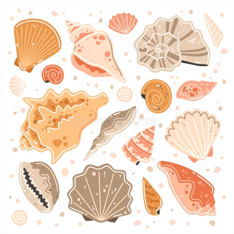 Set of Multicolored Sea Shells. Vector Flat Illustration Collection ...