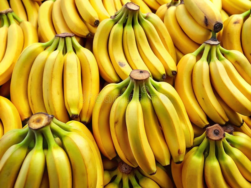 Set of Multiple Bananas stock illustration. Illustration of design ...