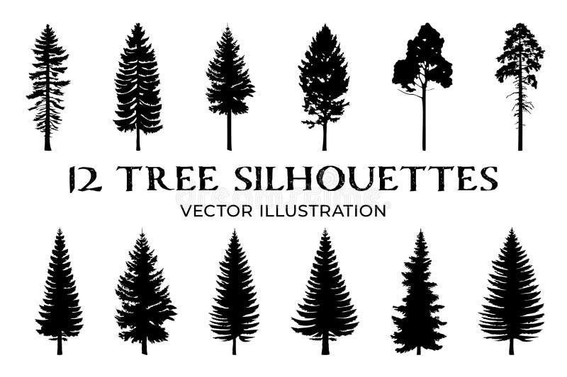 Set of Tree Silhouettes in Vector Style Illustration. Includes Various ...