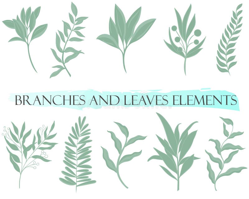Set of Natural Botanical Elements Vector. Green Branches, Design ...
