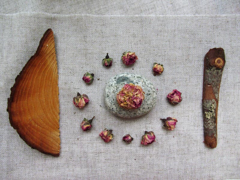 Set of Nature Objects on Linen Background Stock Photo - Image of ...