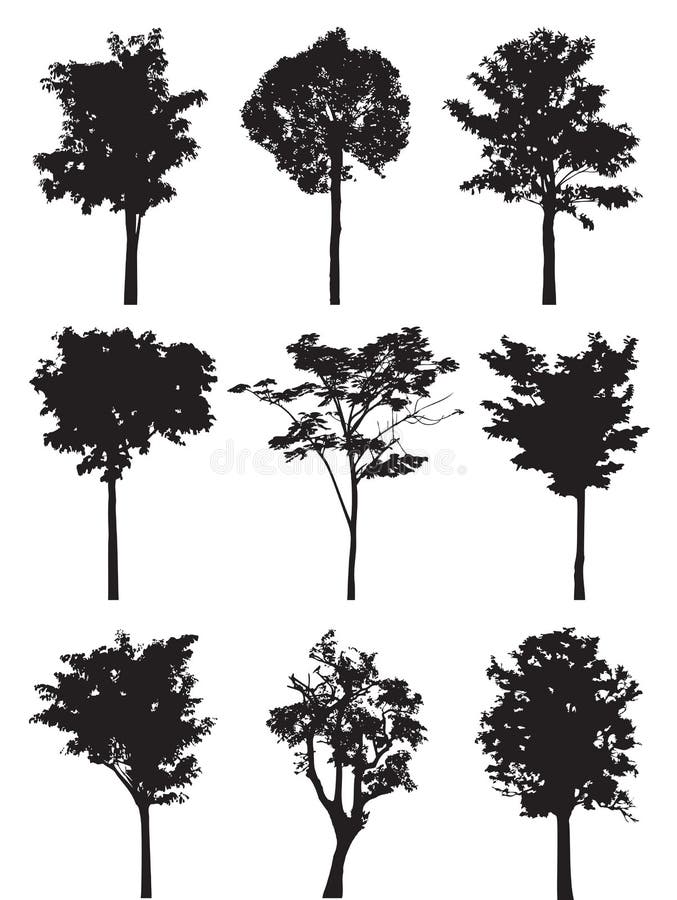 Set of Nine Trees Vector Silhouette Stock Vector - Illustration of ...