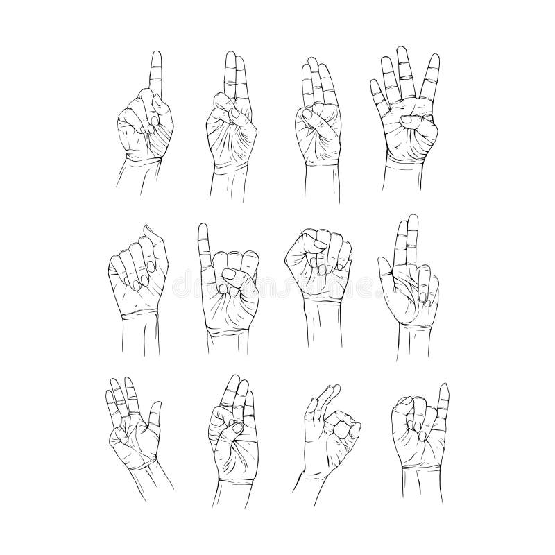 Set Two Hand Collection Drawn Gesture Sketch Vector Line Art Stock ...