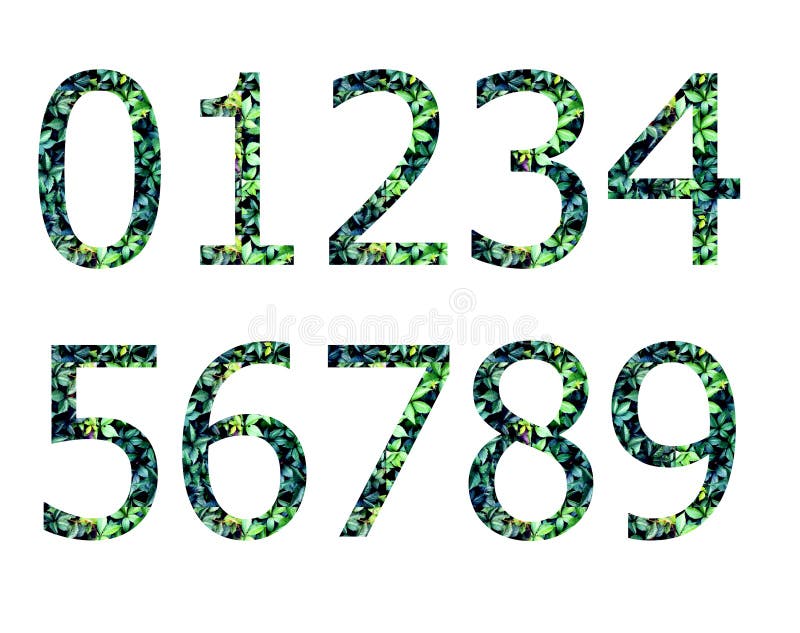 Set of numbers from leaves stock image. Image of seven - 156747325