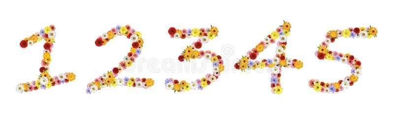 Set with Numbers Made of Beautiful Flowers on White Background Stock ...