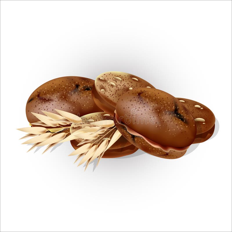 A Set of Oatmeal Cookies for a Useful Breakfast. Stock Vector ...