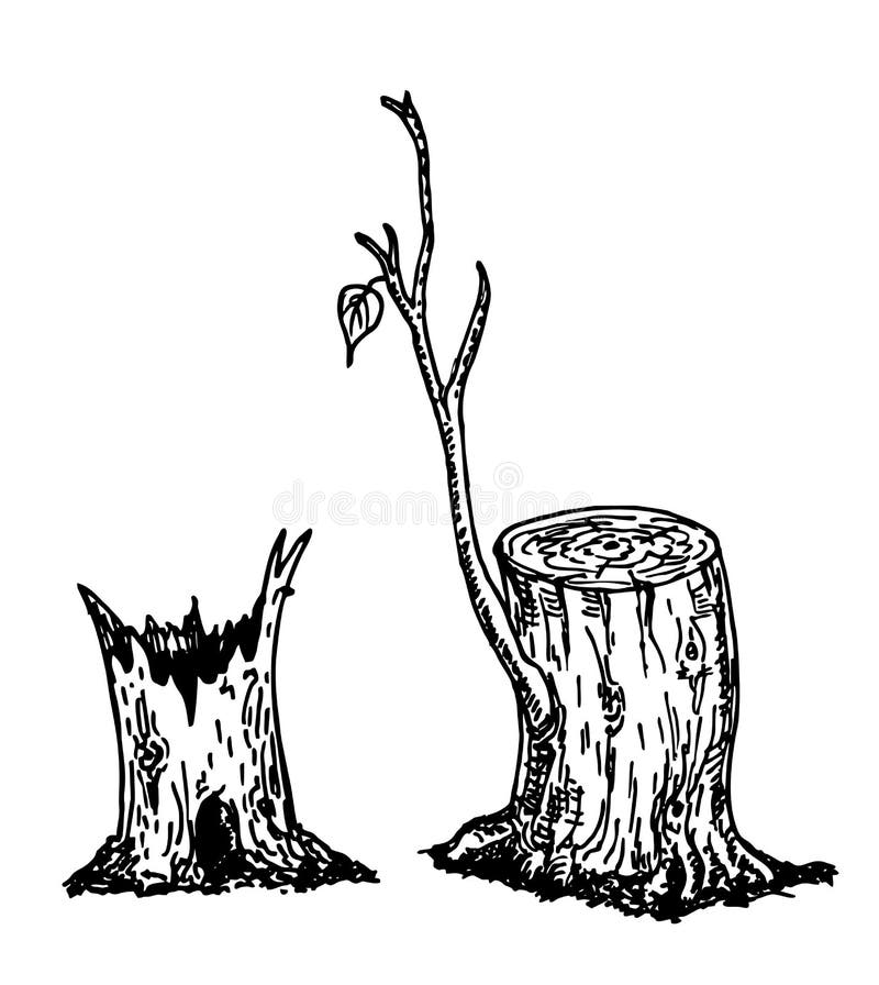 Old Stumps Stock Illustrations – 616 Old Stumps Stock Illustrations ...