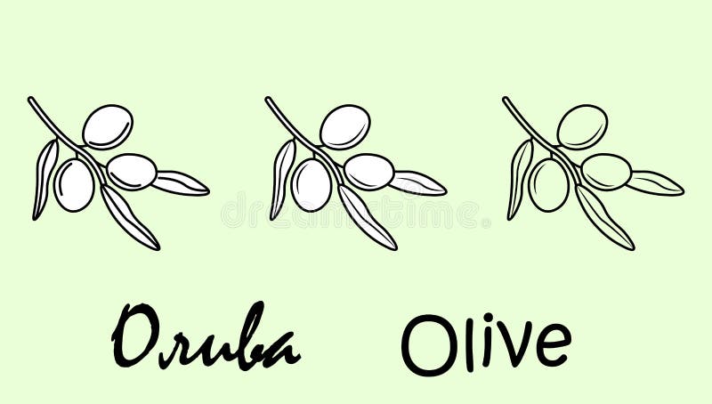 A Set of Olive Fruit Objects with the Inscription "olive" in Russian ...
