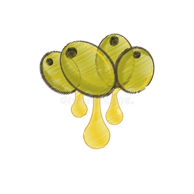 Set olive oil drop drawing stock vector. Illustration of drawing - 81954064