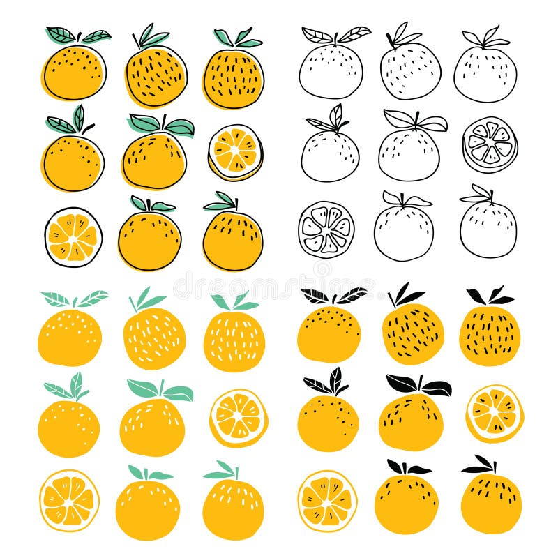 Set of Oranges Fruits Vector Illustration Stock Vector - Illustration ...