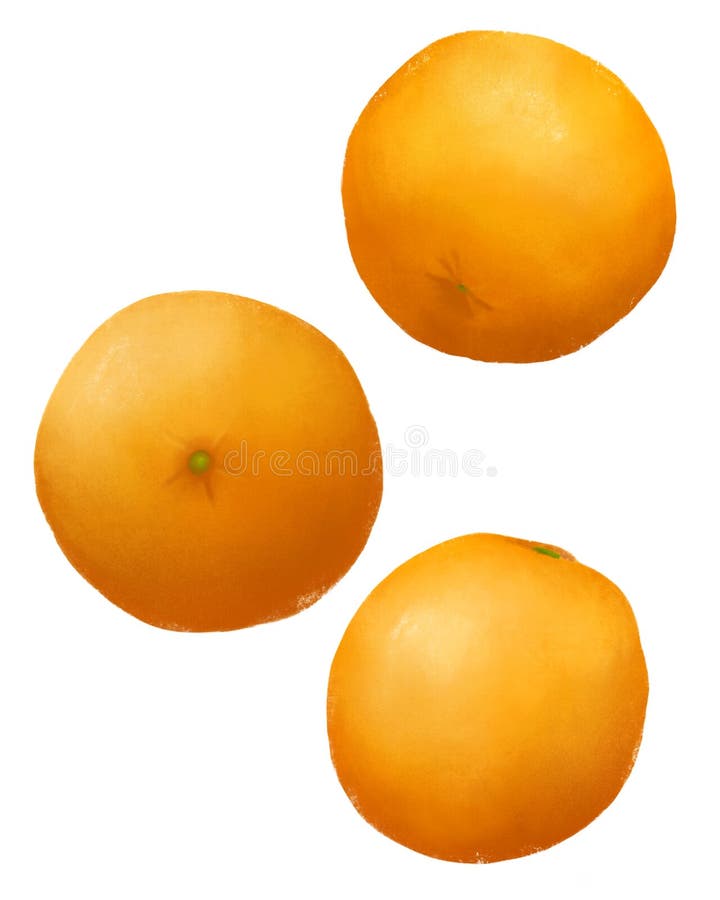 Three Oranges Stock Illustrations – 204 Three Oranges Stock ...