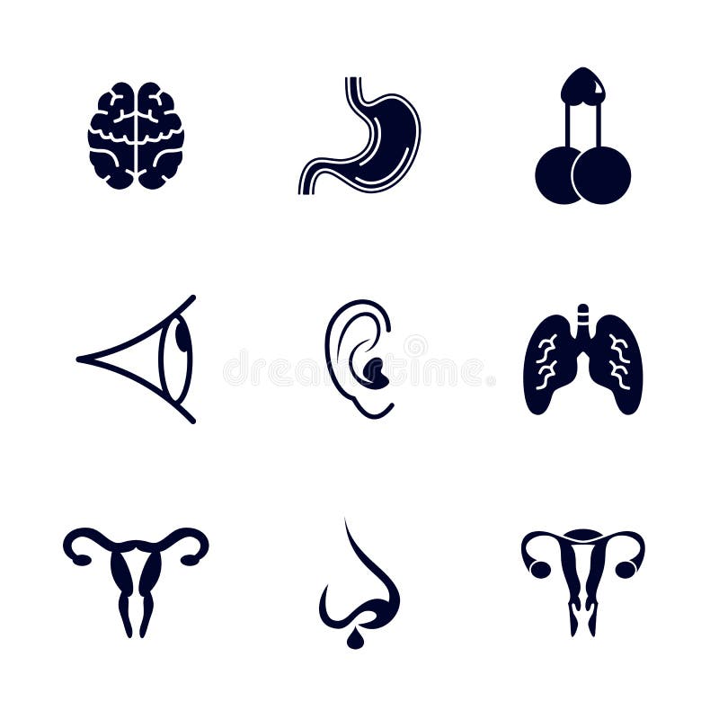 Set of Organ Human Logo Design Vector Template, Organs Logo Design ...
