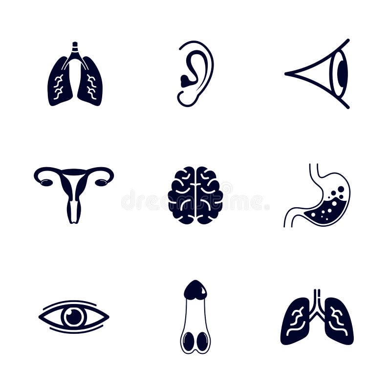Set of Organ Human Logo Design Vector Template, Organs Logo Design ...