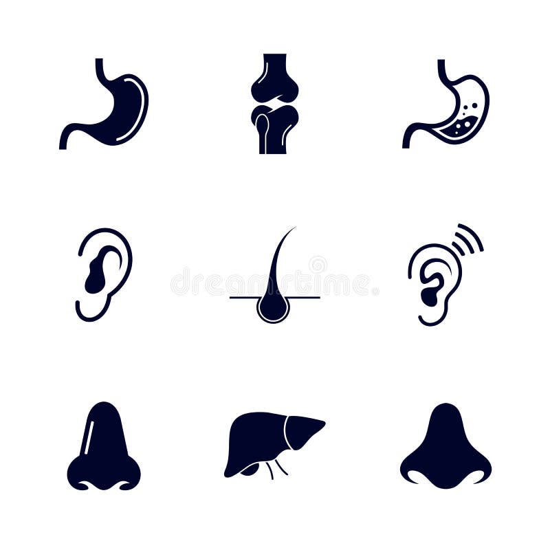 Set of Organ Human Logo Design Vector Template, Organs Logo Design ...