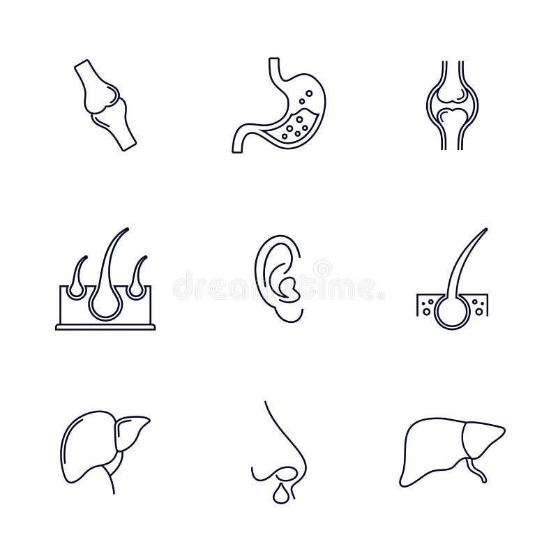 Set of Organ Human Logo Design Vector Template, Organs Logo Design ...