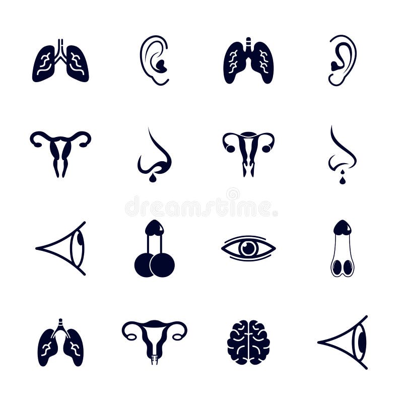 Set of Organ Human Logo Design Vector Template, Organs Logo Design ...