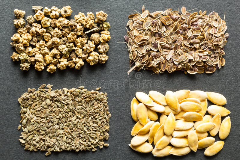A Set of Organic Seeds for Natural Farming Stock Photo - Image of corn ...