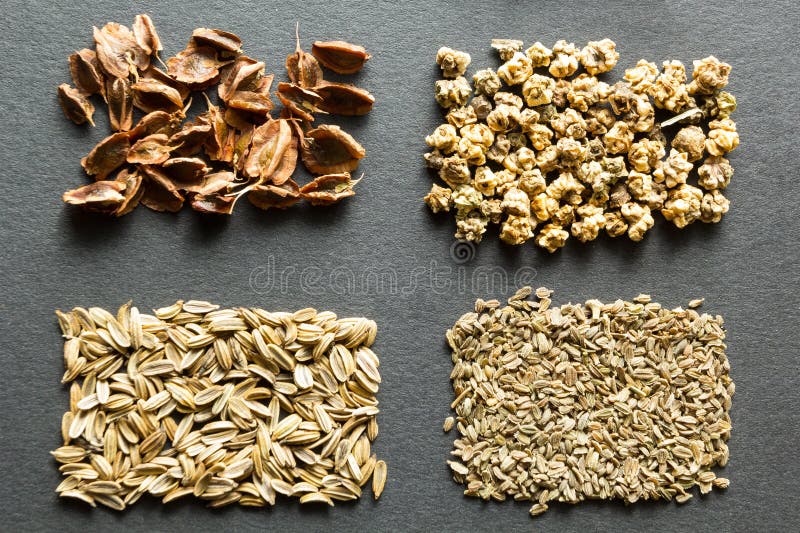 A Set of Organic Seeds for Natural Farming on a Black Background Stock ...