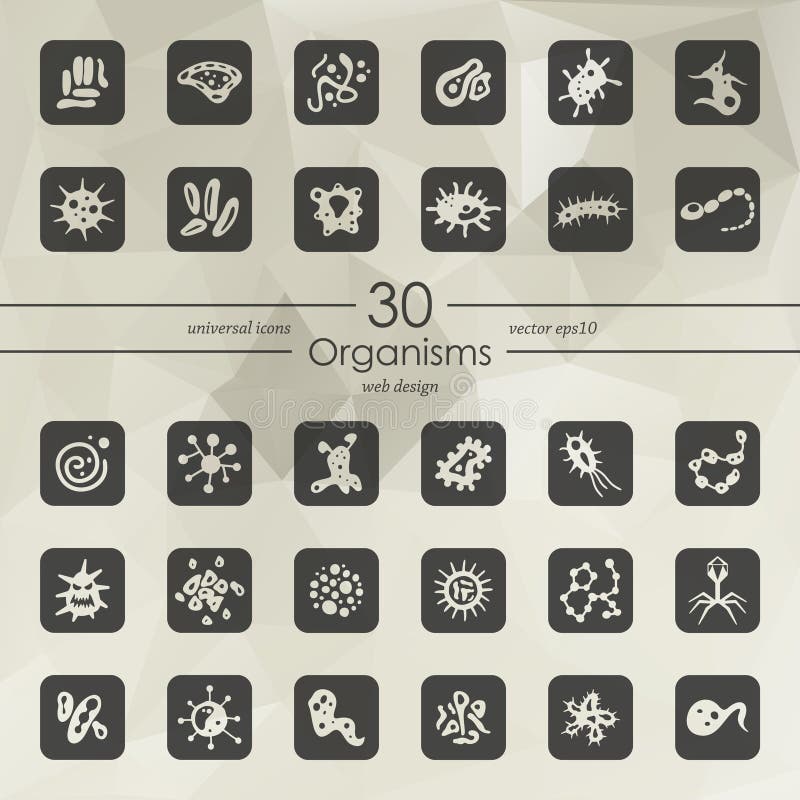 Set of organisms icons stock vector. Illustration of medical - 55078534