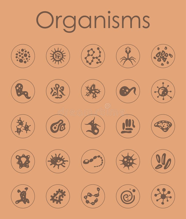 Set of Organisms Simple Icons Stock Vector - Illustration of medical ...