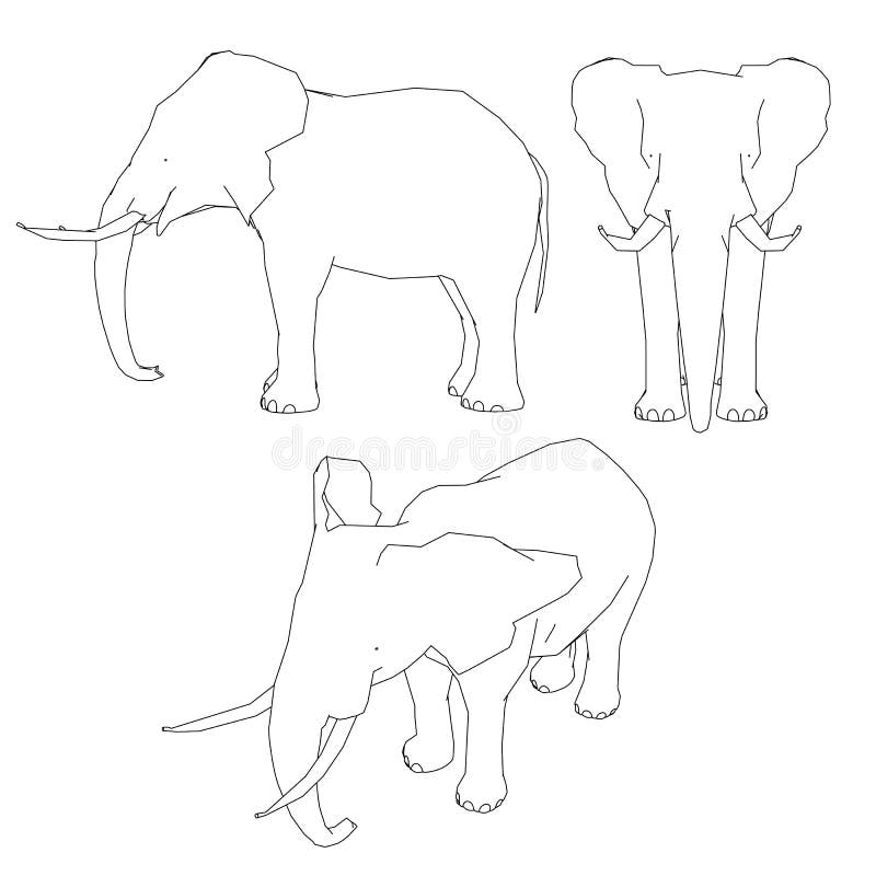 Set with the Outline of an Elephant. Front, Side, Isometric View Stock ...