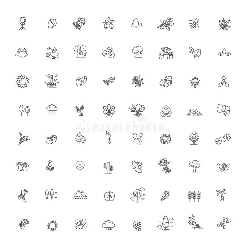 Set of Outline Natural Icons Vector Illustration Stock Vector ...