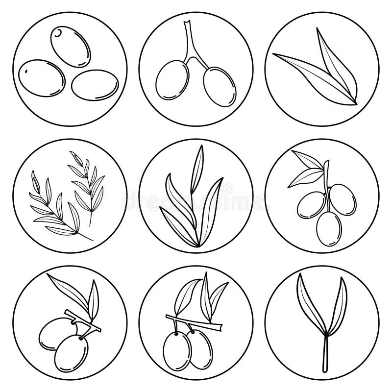 Outline Olive Vector Icon. Isolated Black Simple Line Element ...