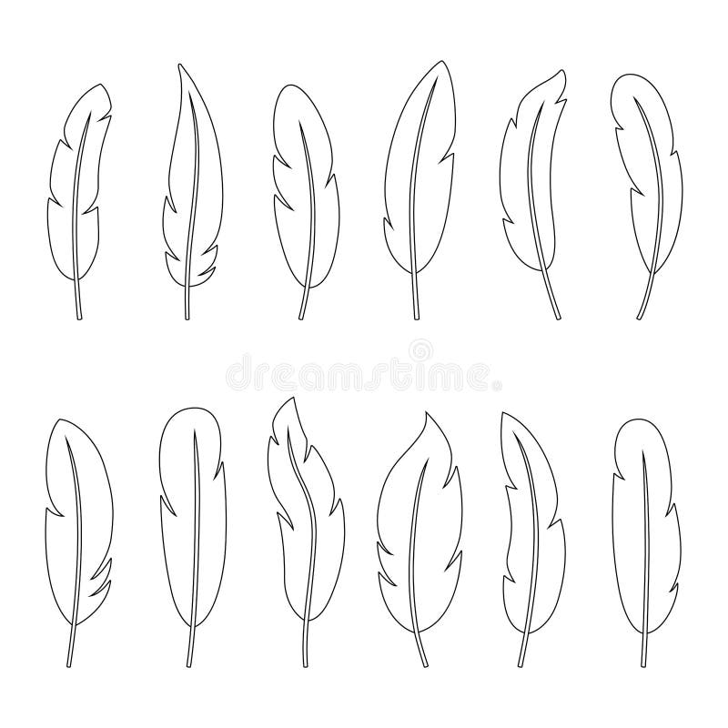 Set of Outlines of Feathers, Vector Illustration Stock Vector ...