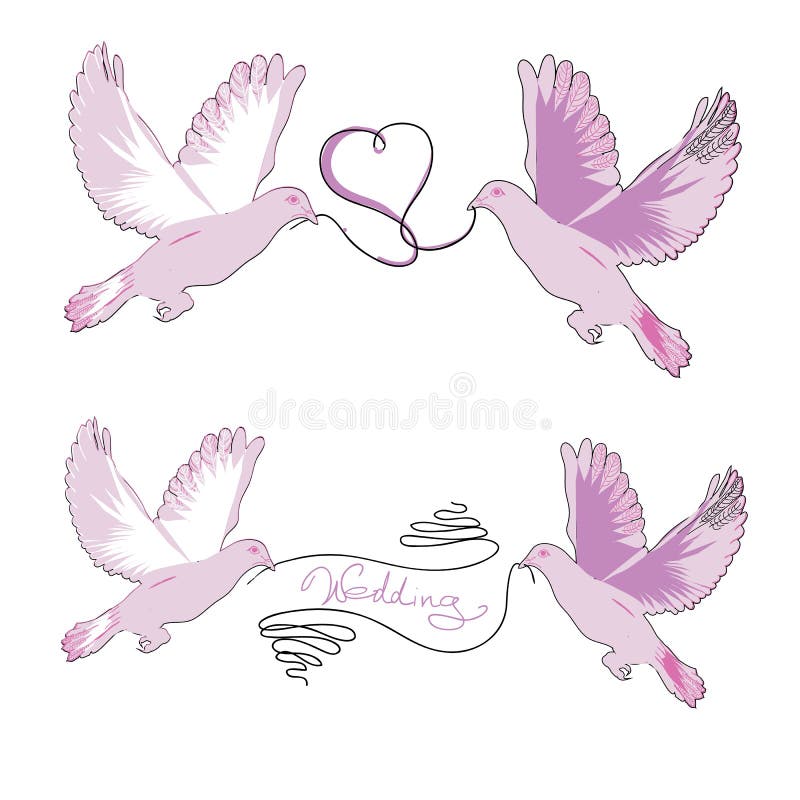 Doves carrying a ribbon. stock vector. Illustration of flying - 86082148