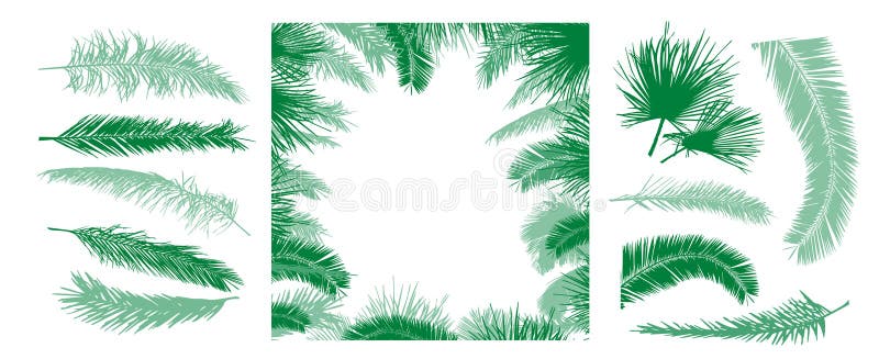 Set of Green Palm Tree Elements. Hand Drawing. Not AI. Vector ...