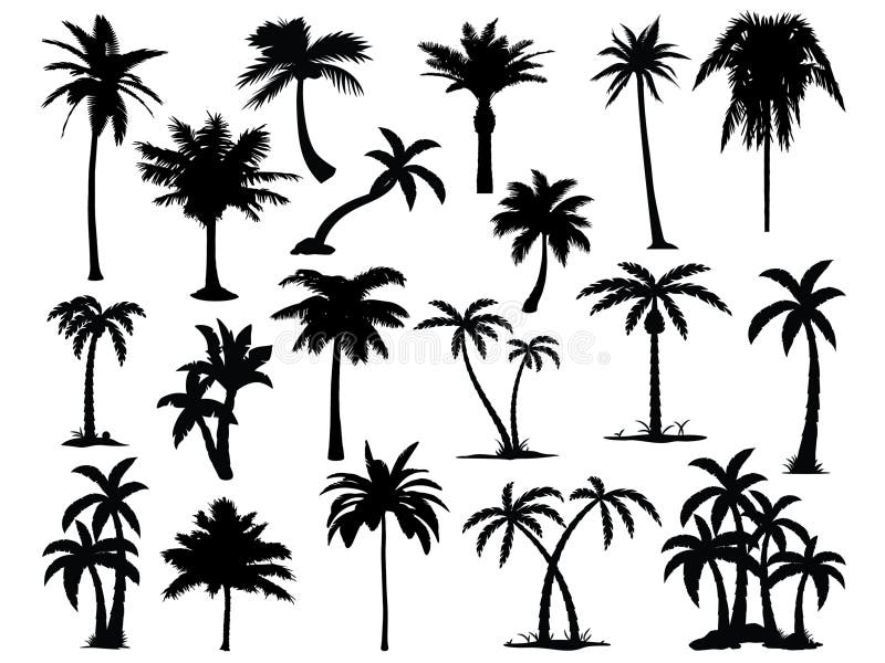 Set of Palm Tree Silhouette Vector Art Stock Vector - Illustration of ...