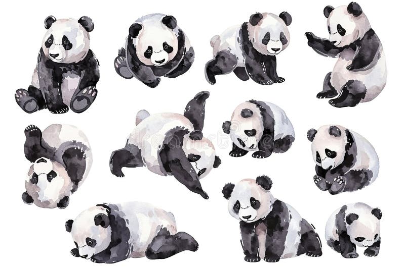 Set of Pandas Isolated on White Background Stock Image - Image of ... Set of Pandas Isolated on White Background Stock Image - Image of ...