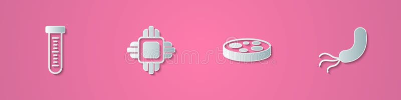 Set Paper Cut Test Tube, Processor CPU, Petri Dish with Bacteria and ...