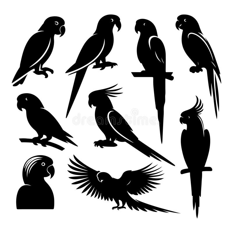 Set of Parrot Silhouette Vector on White Background Stock Vector ...