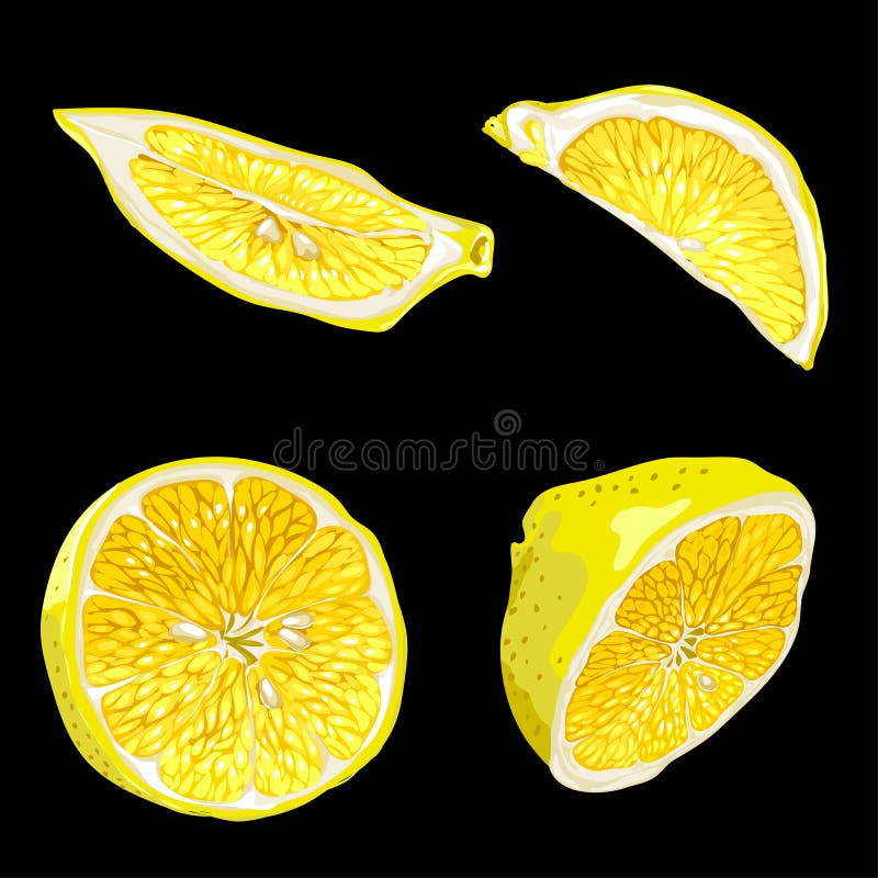 Set with Parts of Lemon Fruit in Different Forms Like Slices and Stock ...